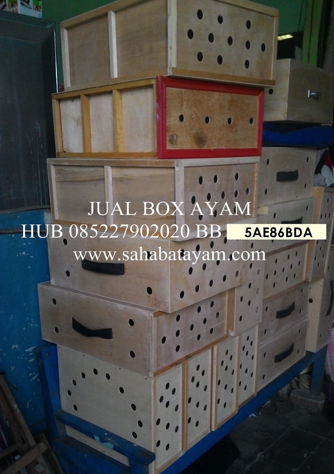 JUAL BOX PENGIRIMAN AYAM BANGKOK: Box pengiriman ayam bangkok, contoh ...