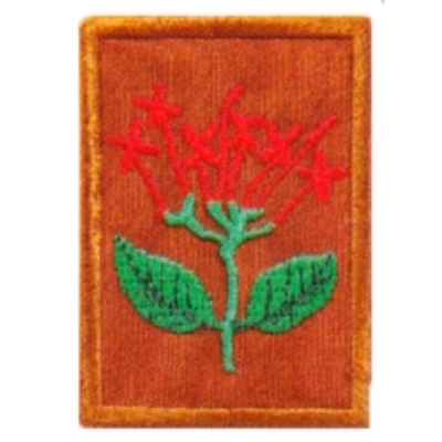 PERSATUAN PANDU PUTERI MALAYSIA CAWANGAN TERENGGANU : PANDU PUTERI TUNAS