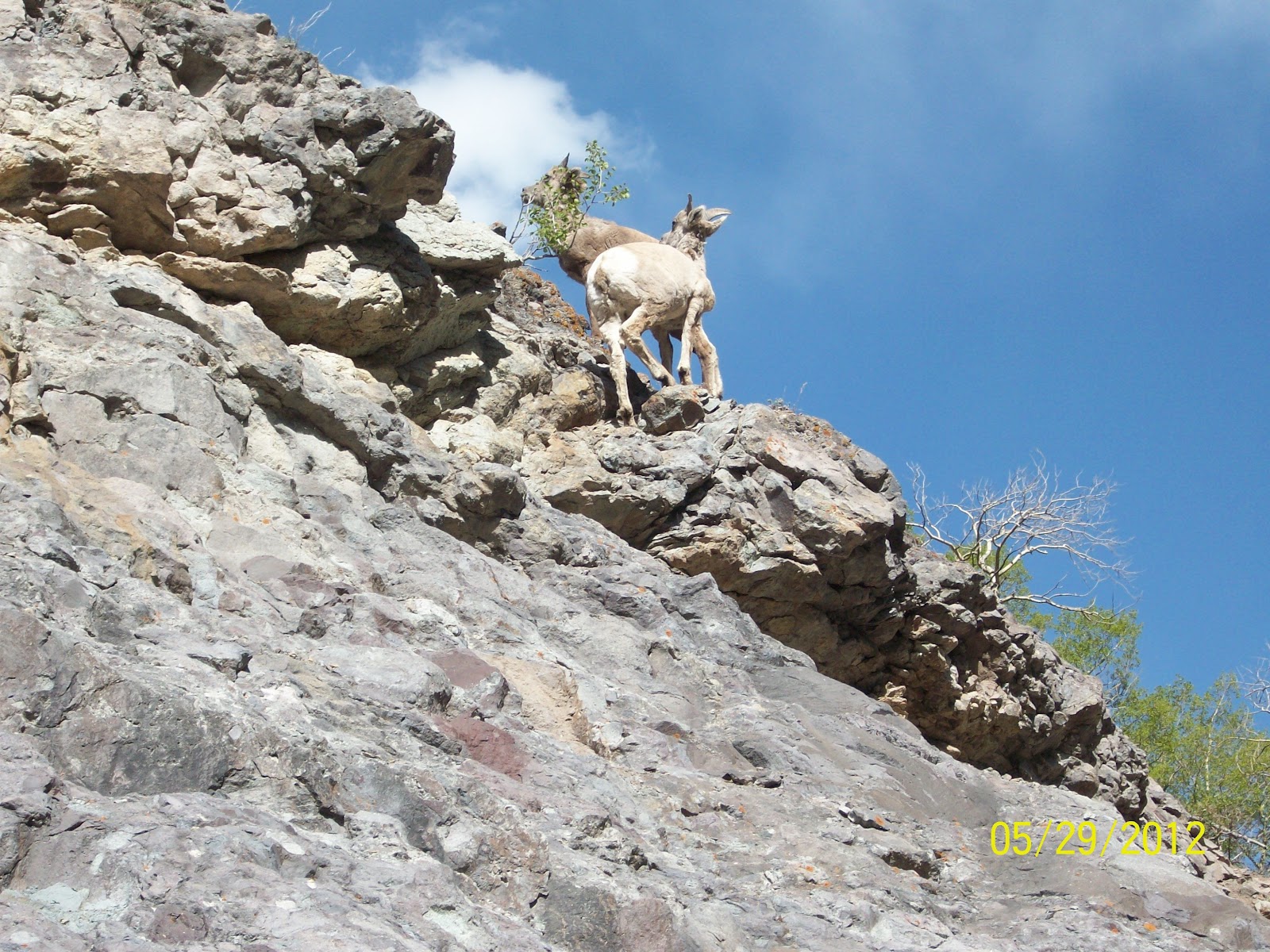 Tom & Bev's Travel Blog: Lake City, CO and Cimarron Pass (What a trip.)