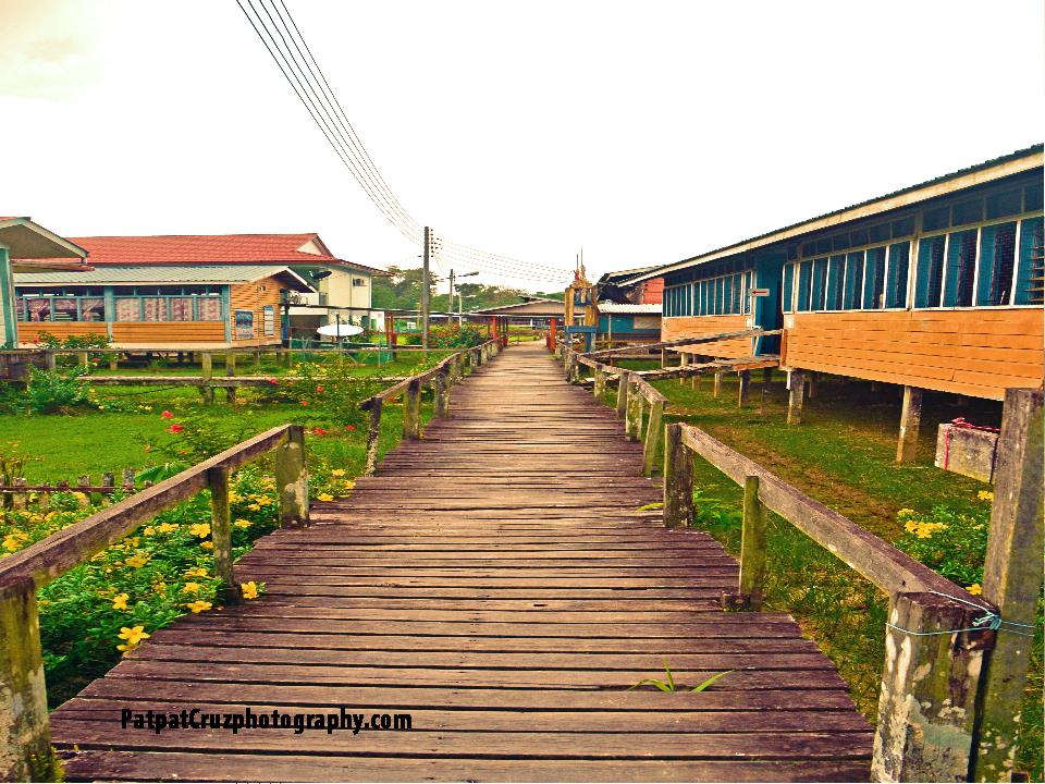 colours of the wind blow