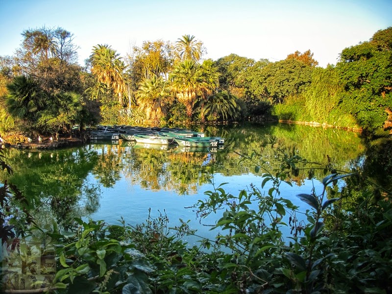 Milerenda: Barroc Ballet y Barnatresc: 1714