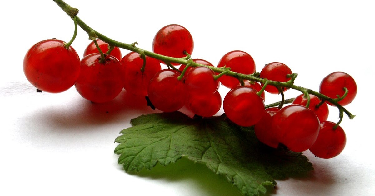 Sirup Od Crvene Ribizle