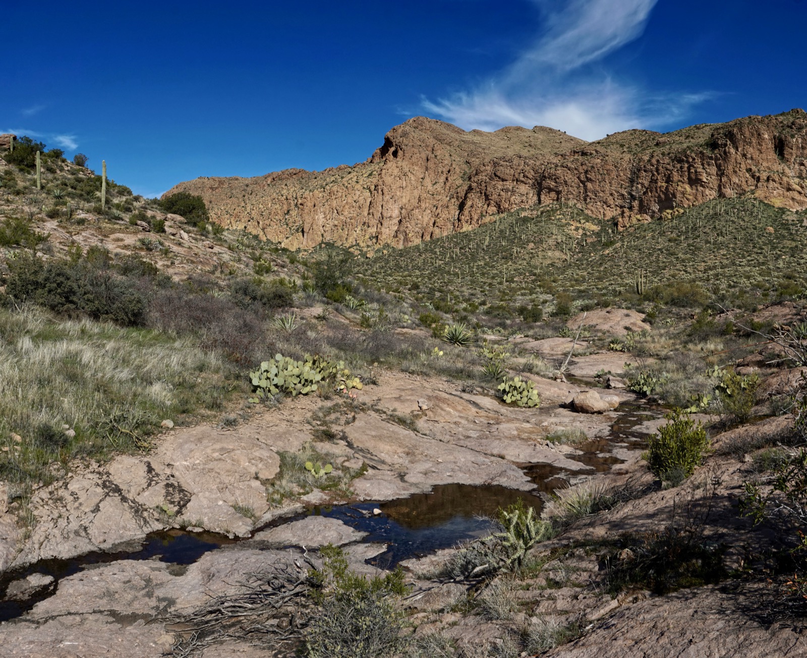 Earthline: The American West: Bluff Spring Mountain, 4,152 ...