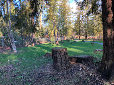 The South Fraser Blog: Newly restored Hunter Park in Picture