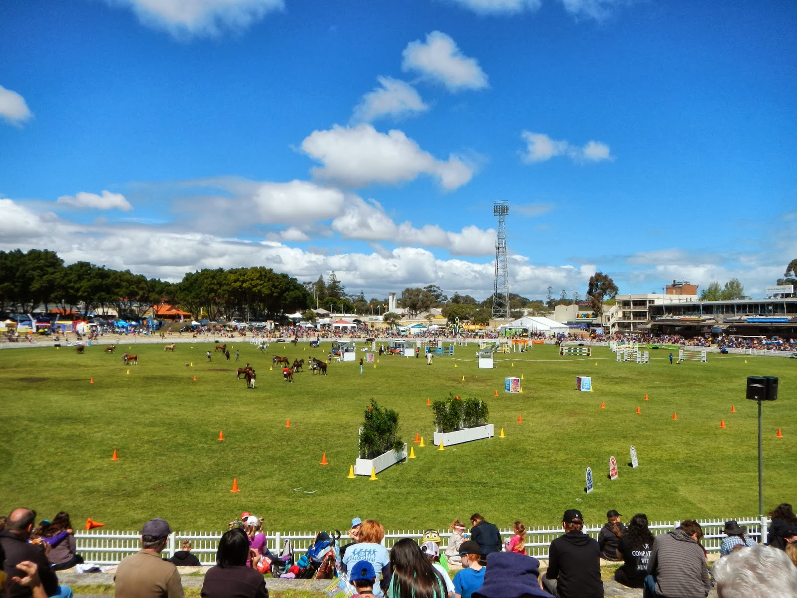 Three Between Toddler & Teen: Family Fun at the Perth Royal Show!