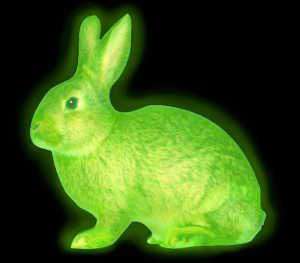 My journey with Glioblastoma - Prakash Murthy: Genetically Engineered ...