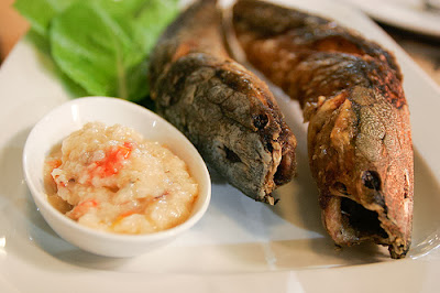 Inkdontmixwithwater: Lutong Kapampangan: Burong Isda
