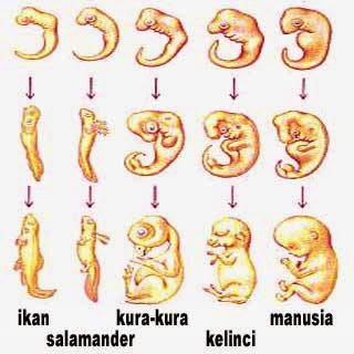 Indikator 37 ~ Erudio Scientia Biology