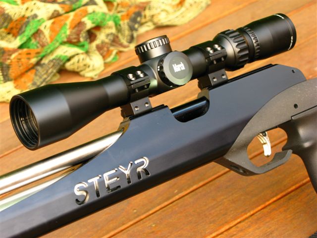 AirGuns: Steyr Lg 110 Hunting