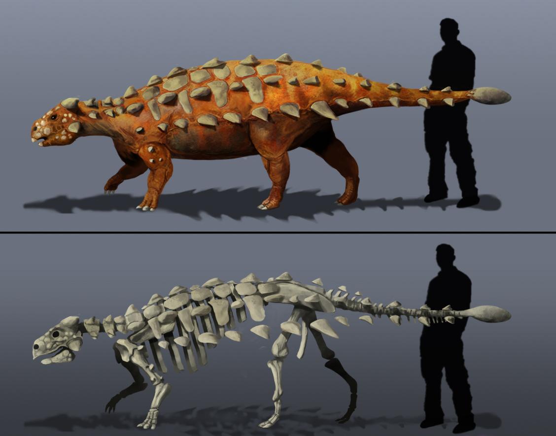 Dinossauro Genesis: Ankylosaurus