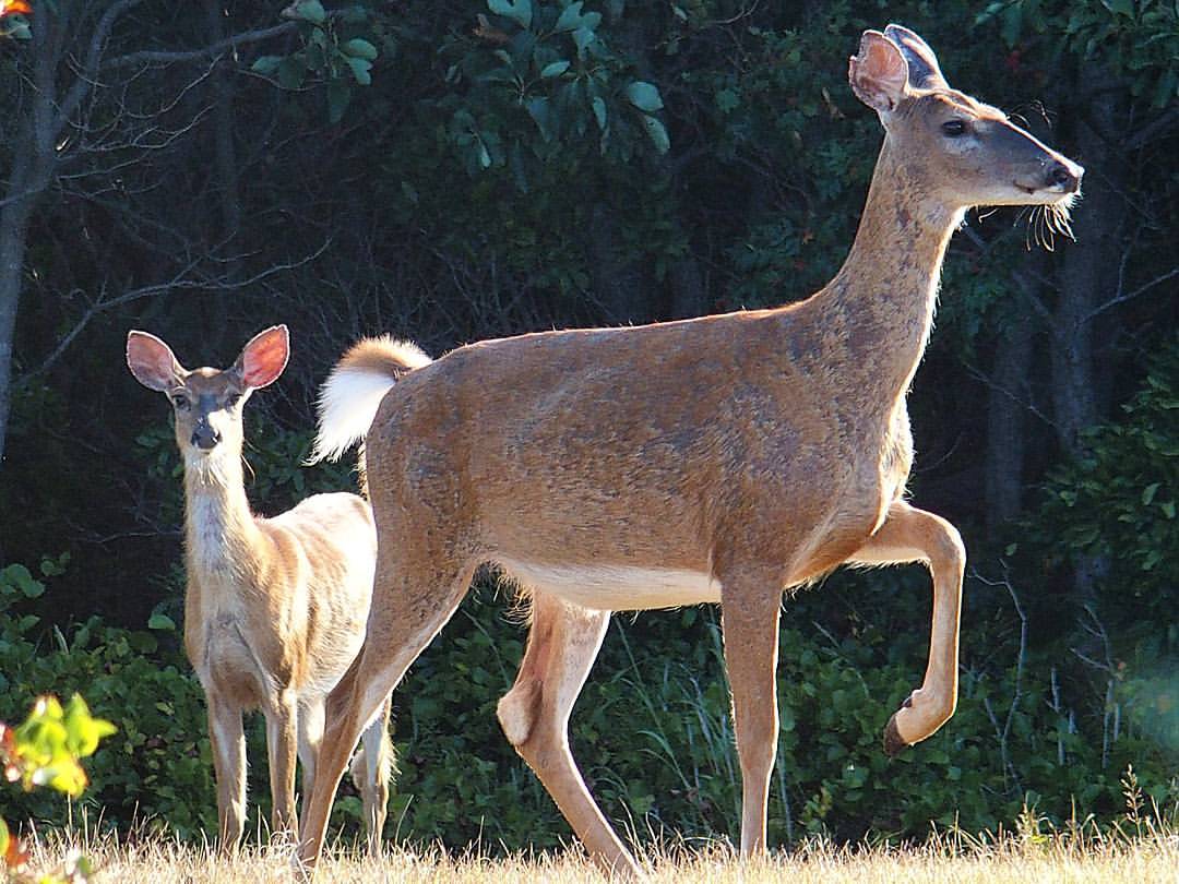 Case Study: Yoga and Gastrointenstinal Distress ~ multiple fitness