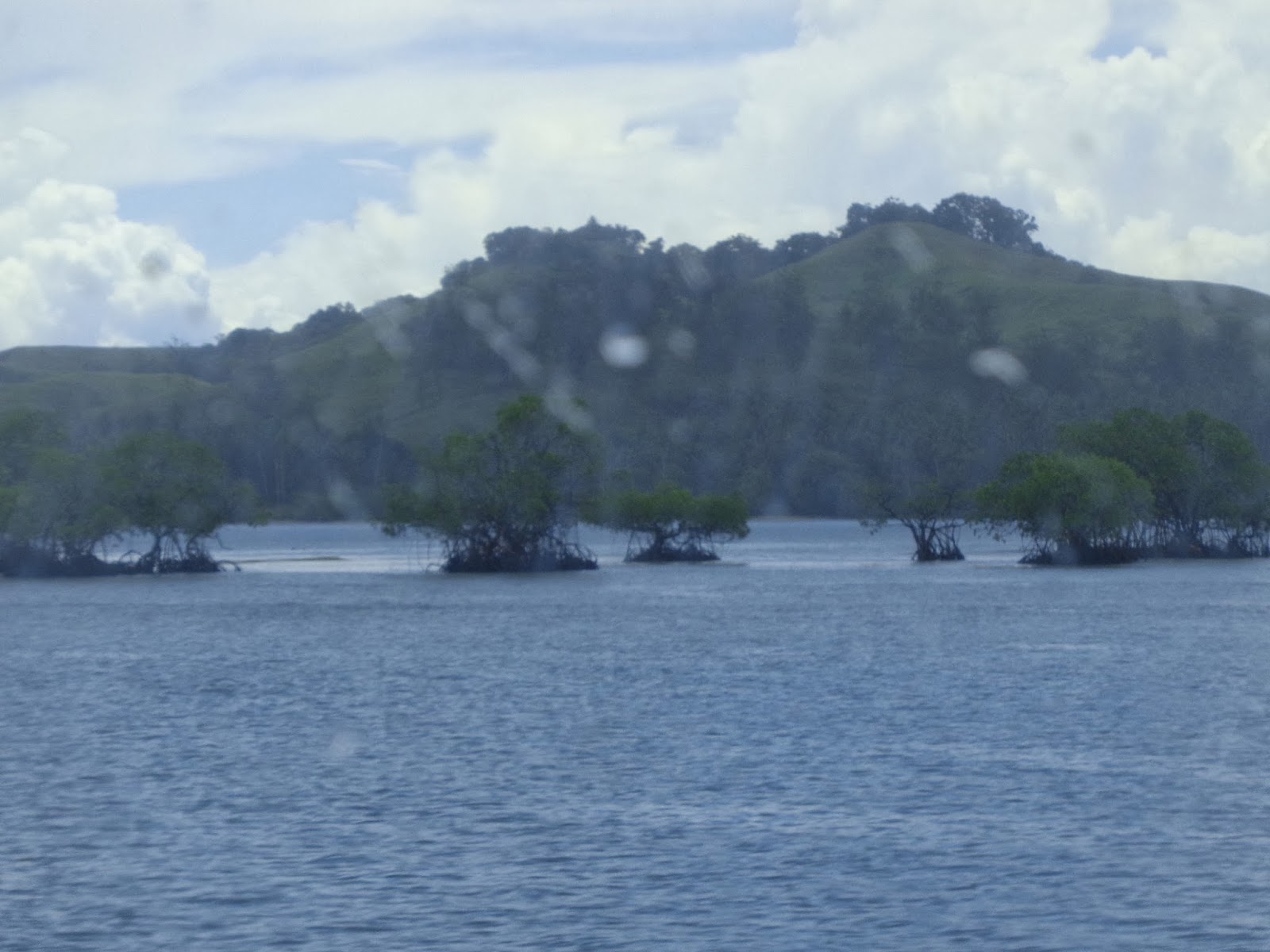 No direction home ... a complete unknown ... like a rolling luggager ...