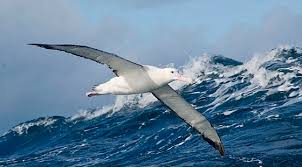 lengua castellana y literatura