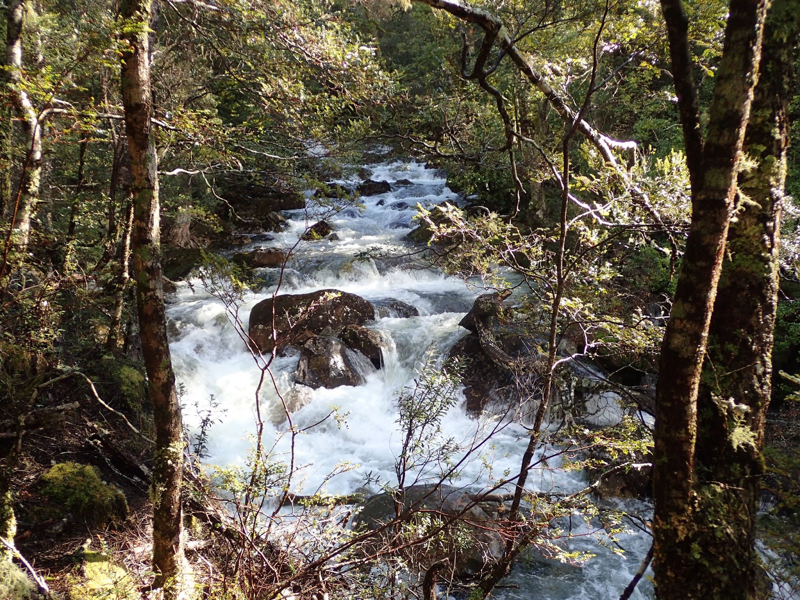 Safarihiker.: Meander Falls, Tasmania.