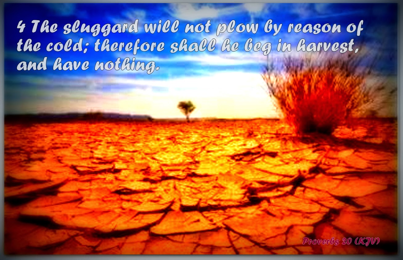 Red Pill Diaries Proverbs 20 KJV red-pill-diaries-proverbs-20-kjv