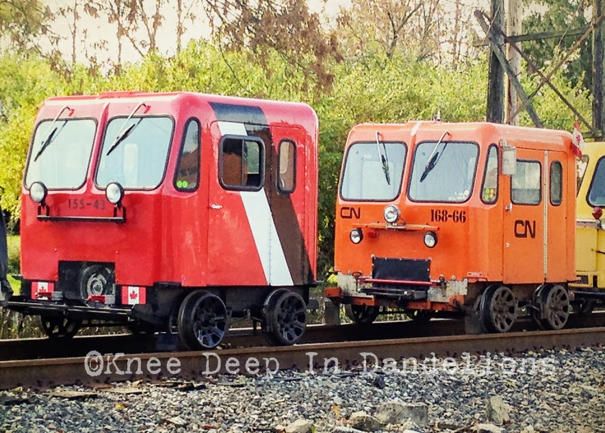 Knee Deep In Dandelions: Cute Little Railroad Cars