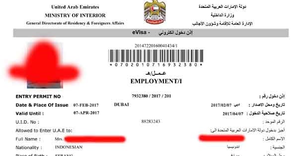 Macam Jenis Visa Serta Fungsinya - Visaku