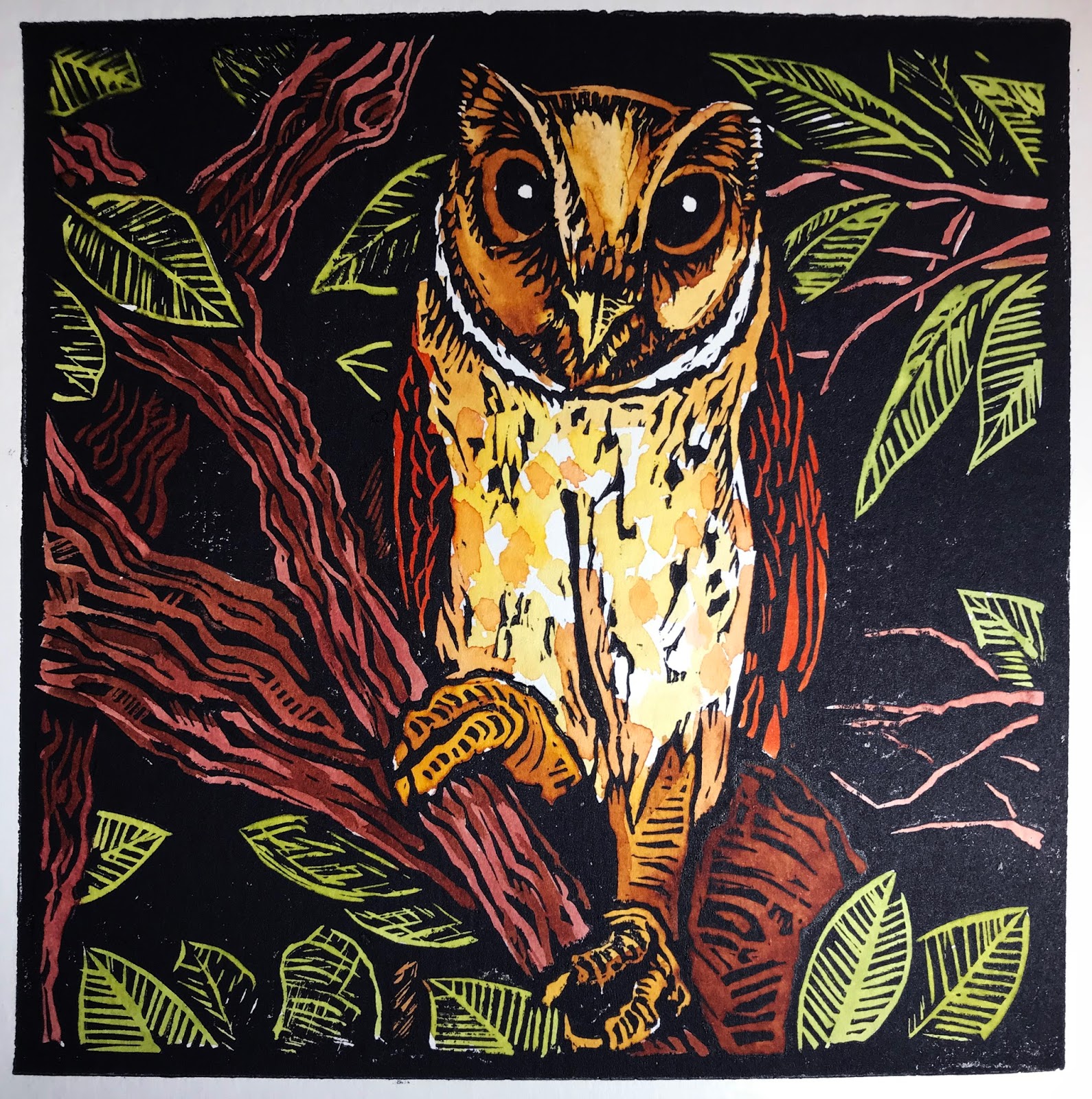 Words on Woodcuts: Hand-Colored Bay Owl, African Wood Owl, Long-Eared Owl