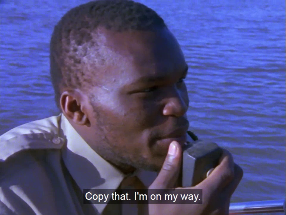 The Department of Afro American Research, Arts and Culture