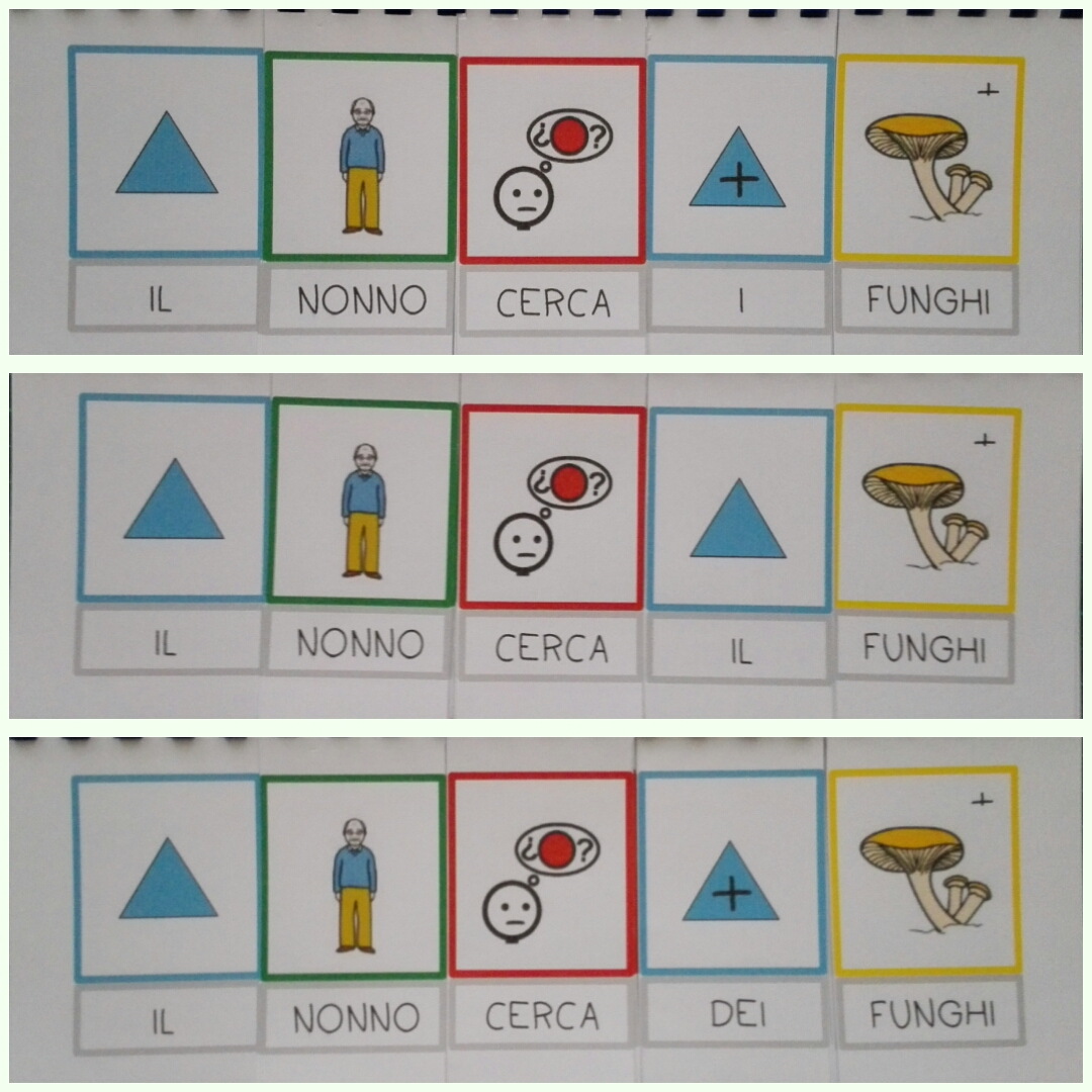 Il Pettirosso che Ride: Il Libro Flip Flap INVENTA FRASI e i ...