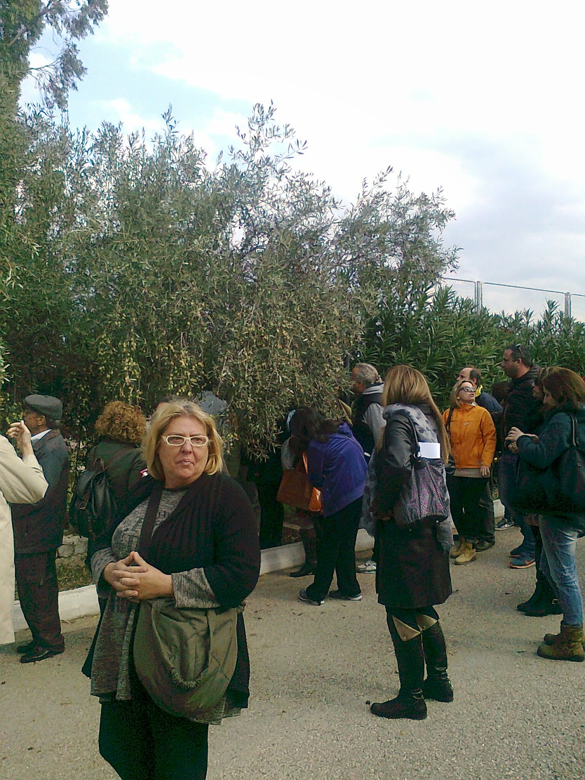 ΣΧΟΛΙΚΟΙ ΛΑΧΑΝΟΚΗΠΟΙ : ΟΙ ΚΗΠΟΙ ΤΩΝ ΣΧΟΛΕΙΩΝ ΤΗΣ Δ/ΣΗΣ Β/ΘΜΙΑΣ ΕΚΠ/ΣΗΣ ...