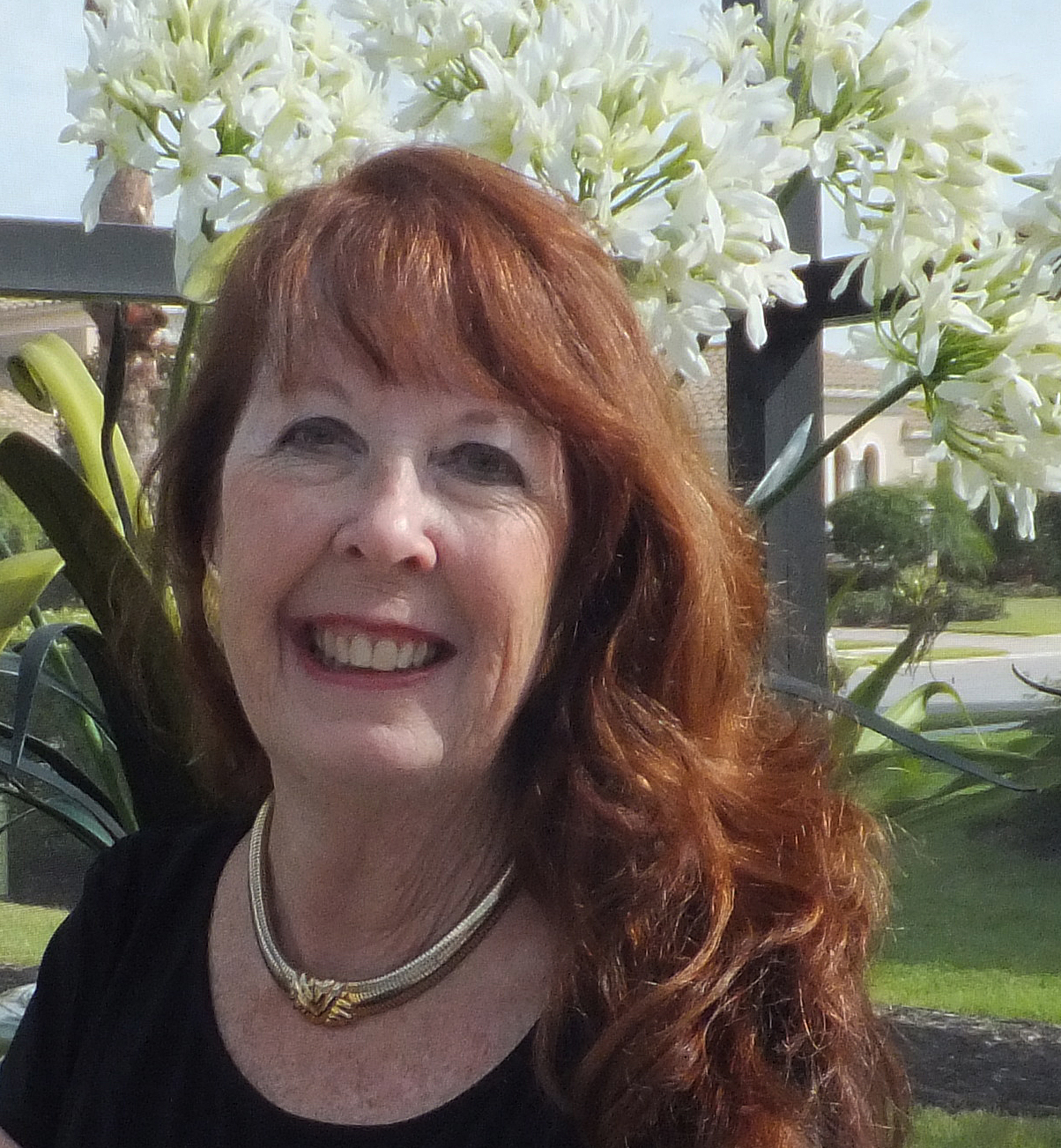 WRITE ON! Sandra Markle: TOP TEN TIPS I WISH I'D KNOWN YEARS AGO FOR ...