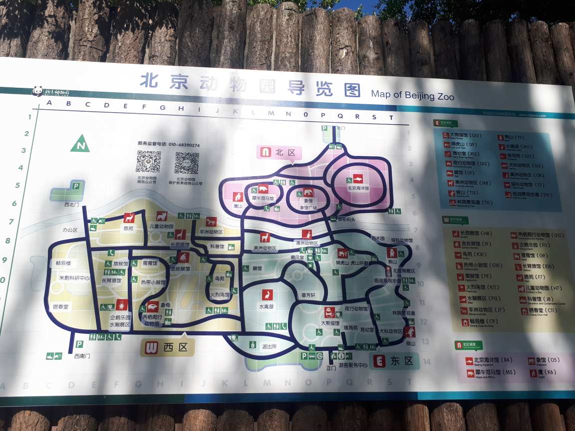 Anak Perempuan Itu Berlari Kegirangan Melihat Panda Lucu di Beijing Zoo ...