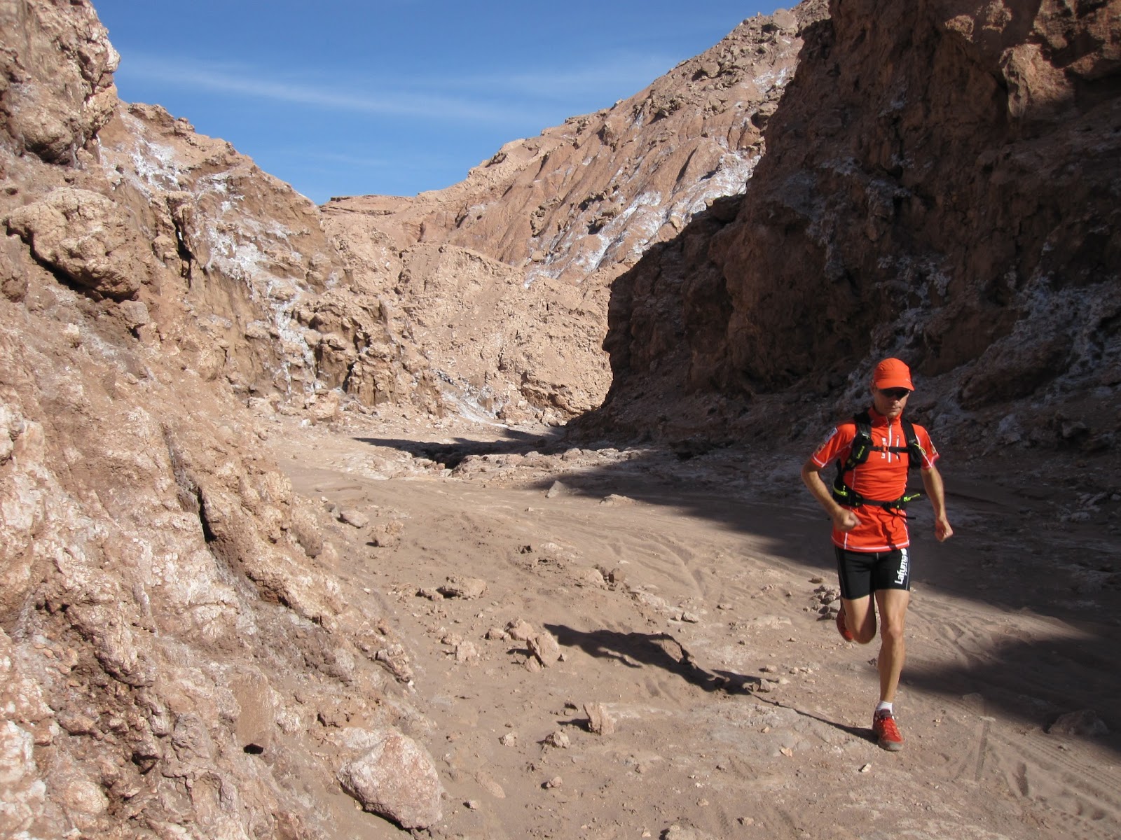 Daniel Rowland: Training taper in the desert