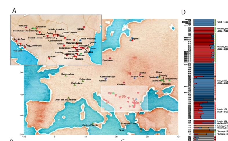 mtDNA Atlas: Heaps of new ancient European DNA