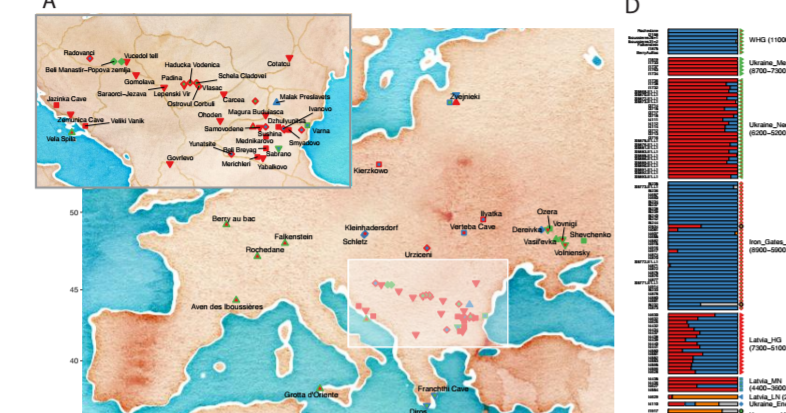 mtDNA Atlas: Heaps of new ancient European DNA