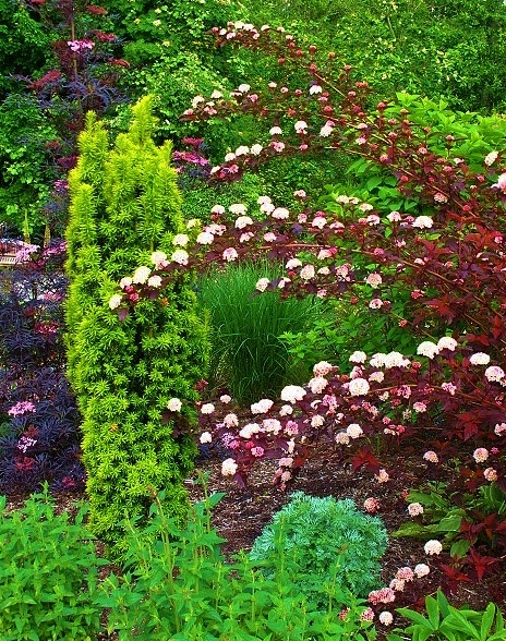Urban Landscape, Native Landscape: The Perennial Border at the Bellevue ...