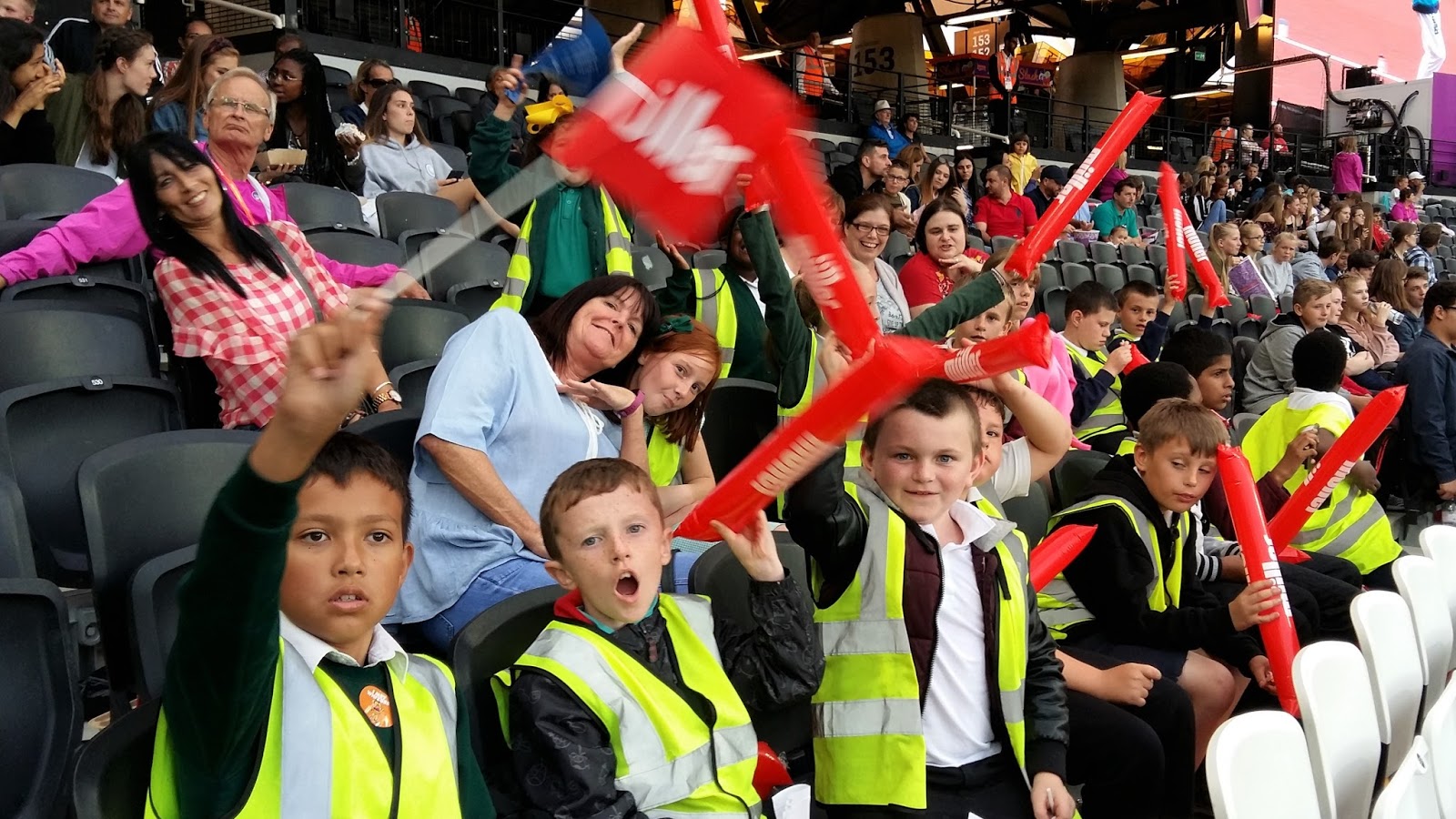 Mead Primary: July 2017