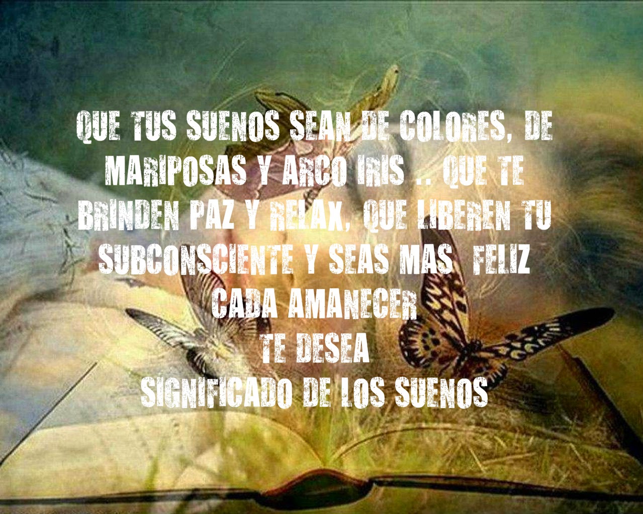 SIGNIFICADO DE LOS SUEÑOS: SIGNIFICADO DE LOS SUEÑOS