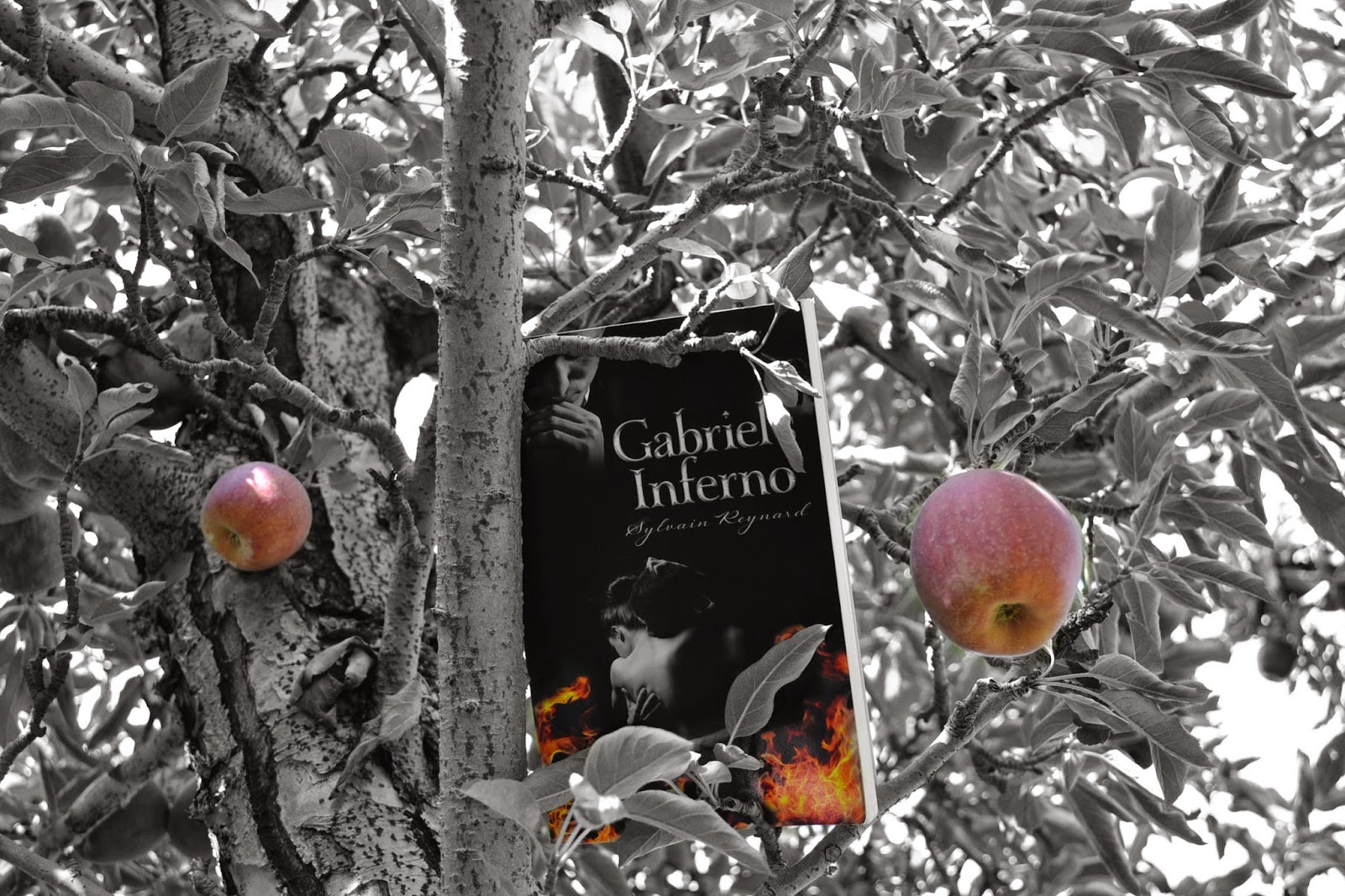 Reseña: El Infierno de Gabriel de Sylvain Reynard