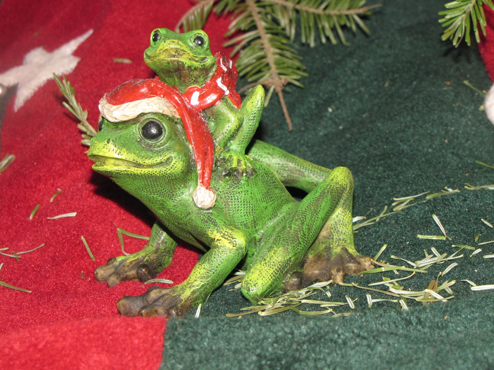 Nourish the Soul: The Christmas Frog