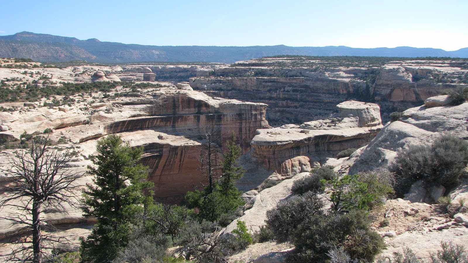 August 28-29, 2012 – Natural Bridges National Monument, UT