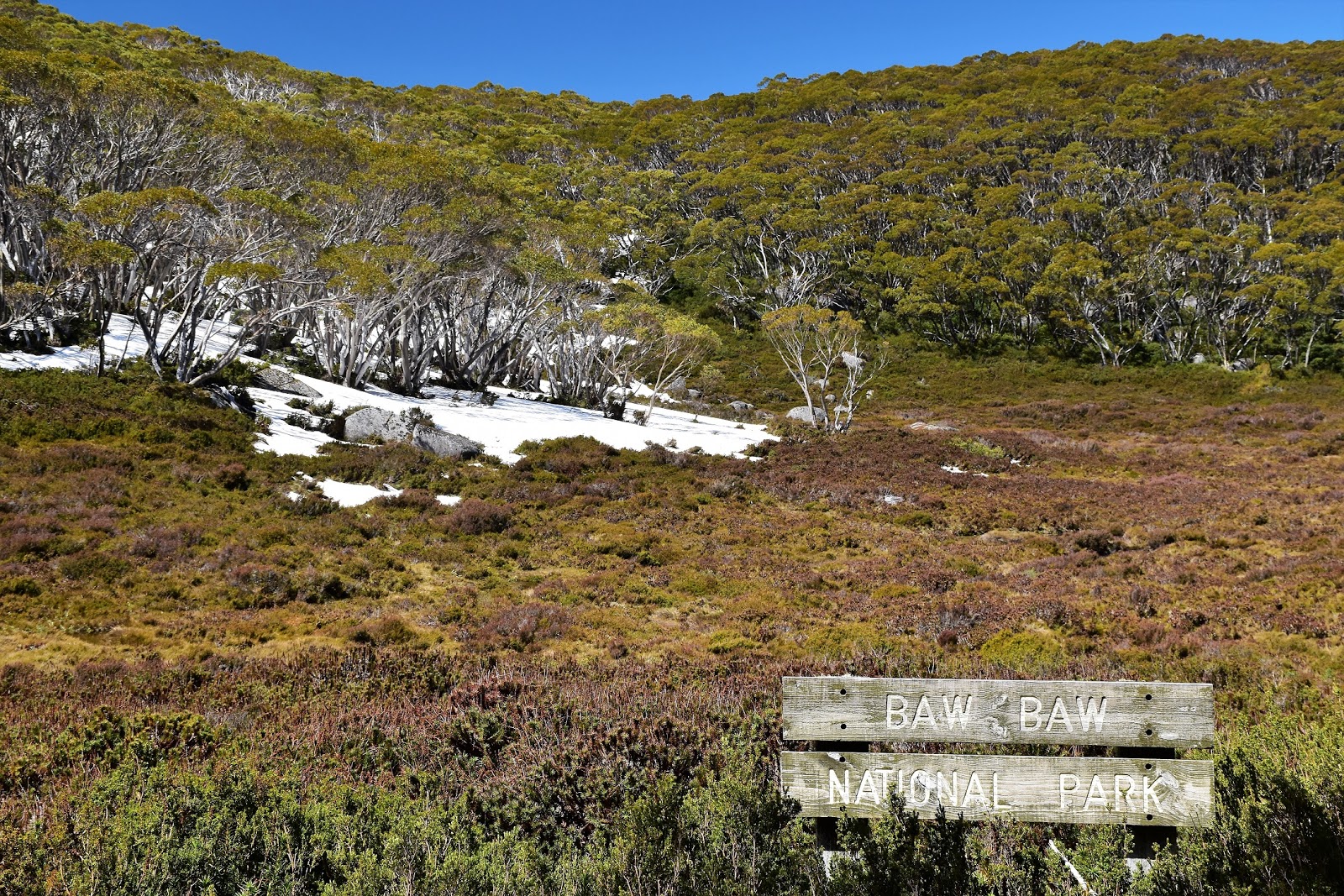 Goin' Feral One Day At A Time: Baw Baw Village Circuit, Baw Baw ...