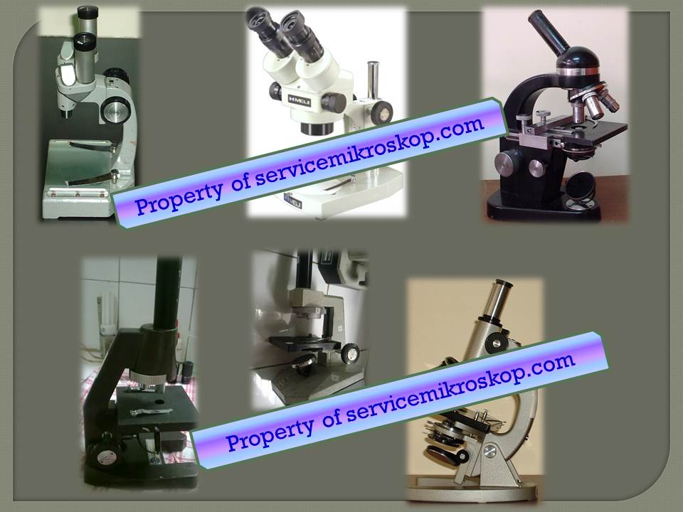 Macam macam Mikroskop | Service Mikroskop