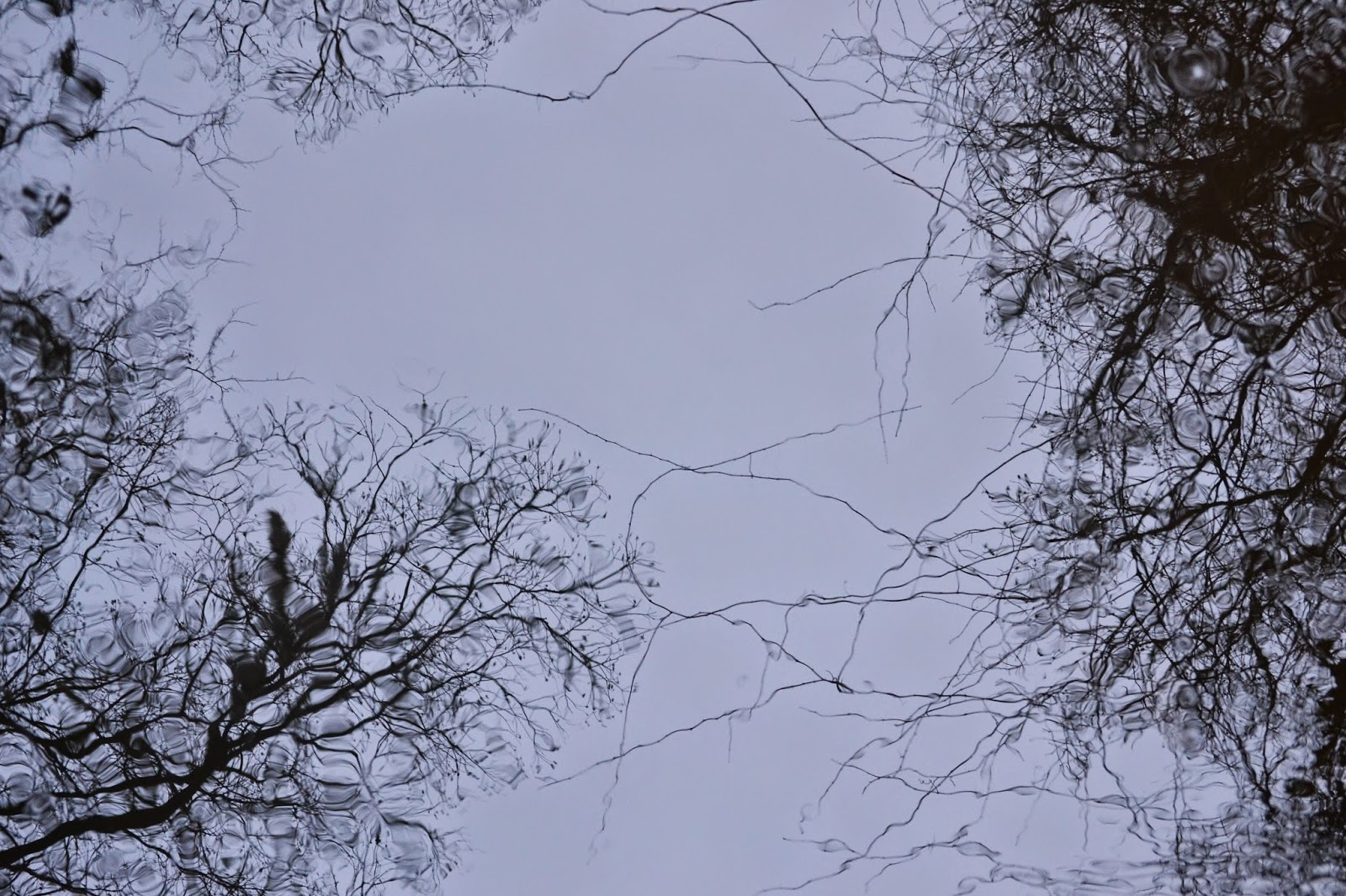 Gravity Wave: Continuum Unbound, Fall 2014