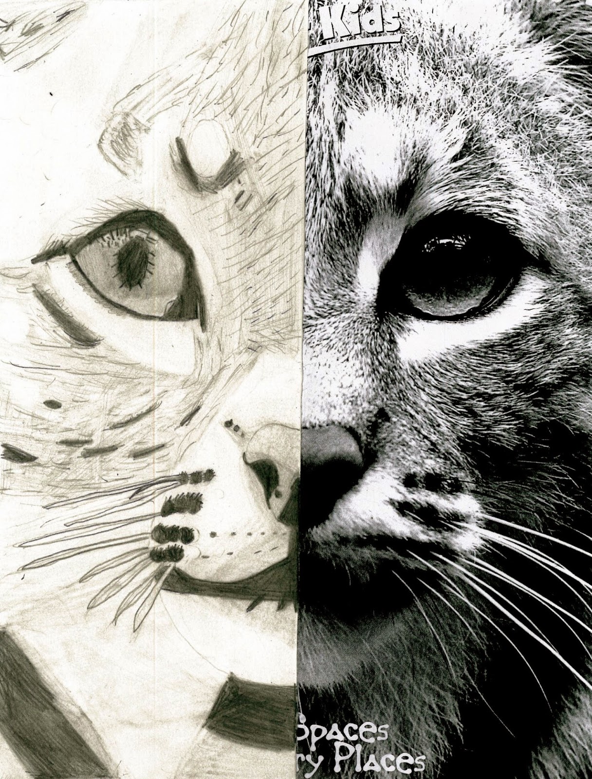 the art classroom: The Other Half (Intro to Art Drawing Assignment)