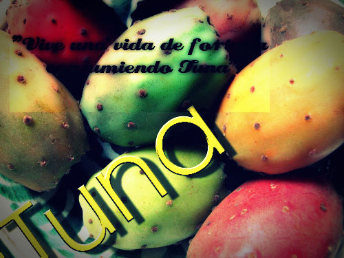 Mermelada de Tuna