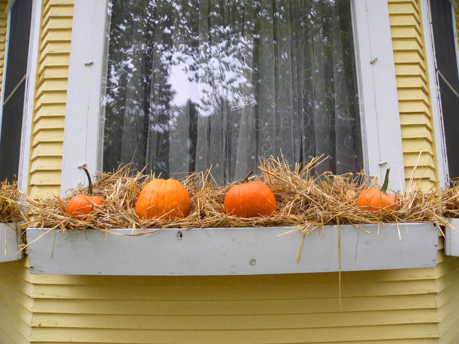 Sweet Posy Dreams: Super Easy Fall Decorating