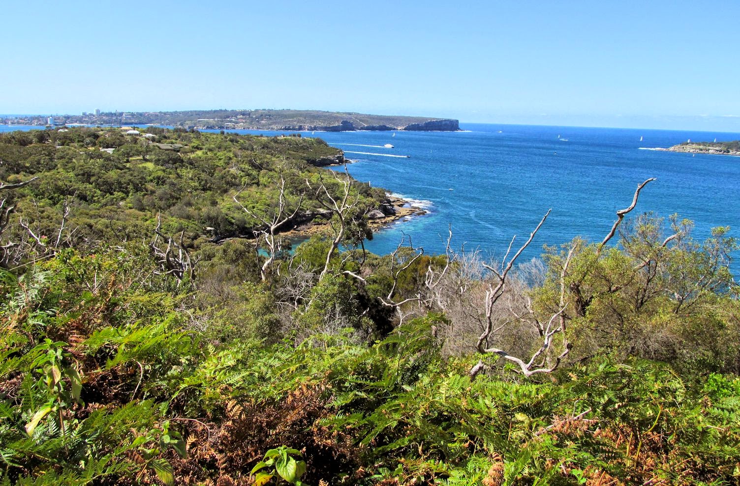 Balmoral to Middle Head | Our Walks