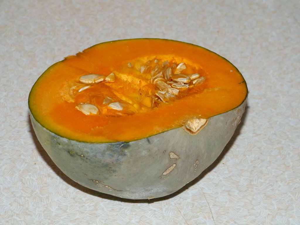 An English Homestead: Squash