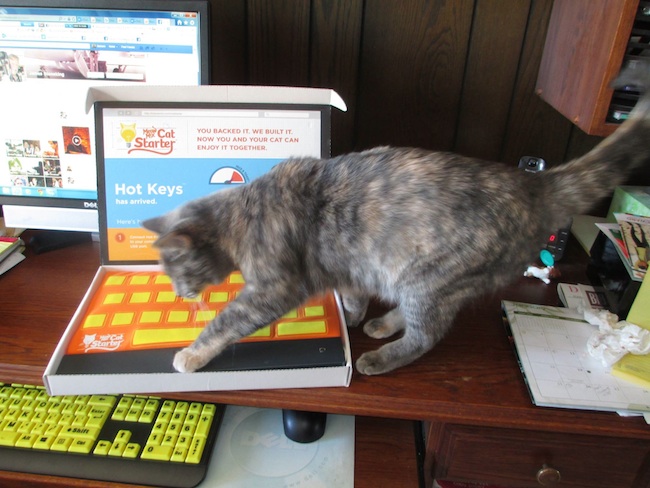 Forgotten and Unseen Electronics