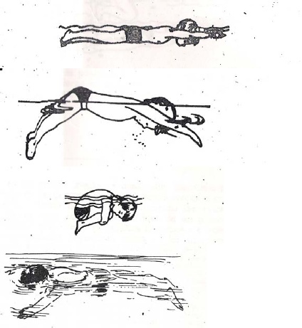 EL MUNDO DE LA NATACION: EJERCICIOS PARA APRENDER A FLOTAR