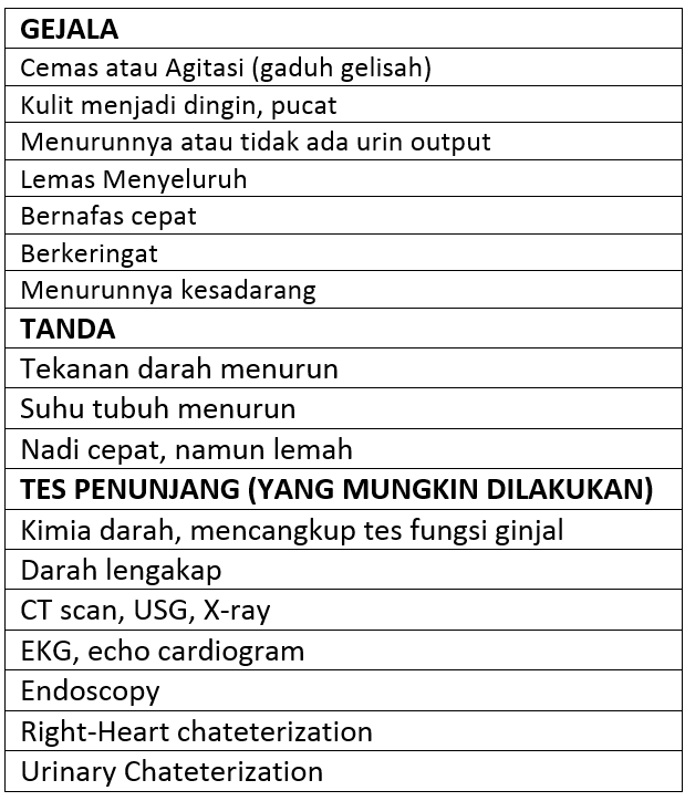 Syok Hipovolemik (Hypovolemic Shock) ~ Seberkas Cahaya Langit