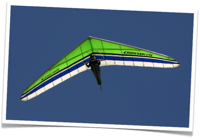 ALA DELTA CROSSOVER - SEEDWINGS ~ DISMAVUELO