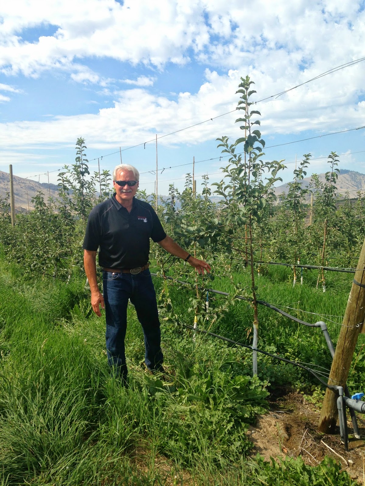 NourishRDs: The Cherry Harvest