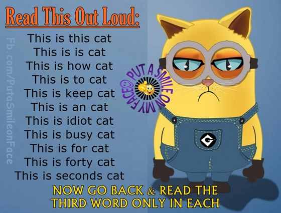 Read This Out Loud This is this cat till end